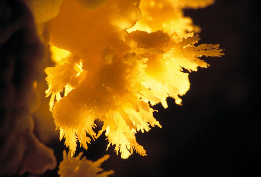 Frostwork - Brandon Kowallis