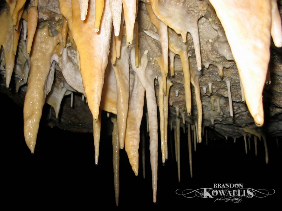 Beyond the Basics | 6 Ways to Improve Your Cave Photography - Brandon ...